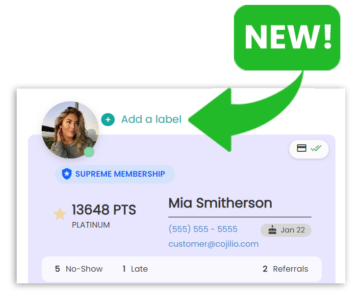 NEW! Client Labels in the Online Calendar (create/remove Client Labels ...